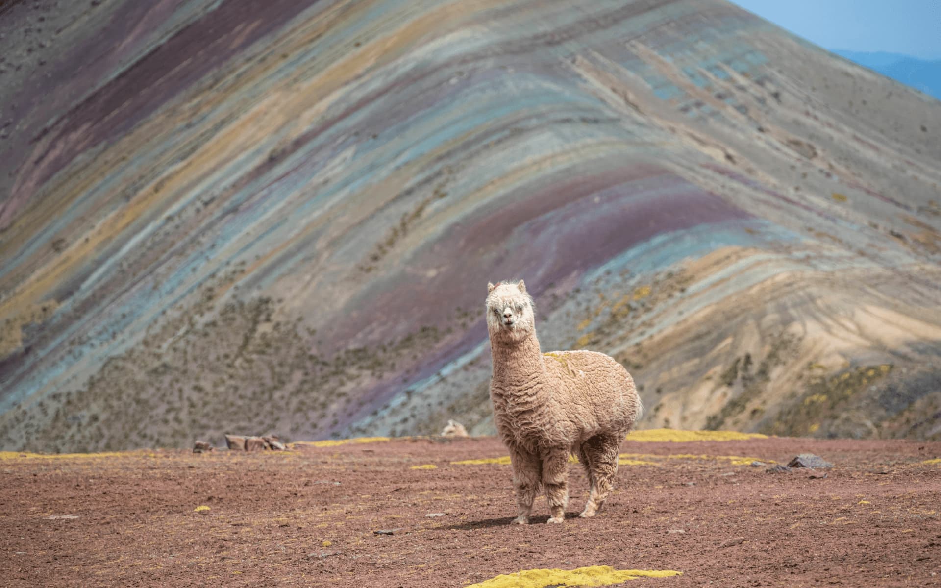 Palccoyo Rainbow Mountain: A Peaceful Alternative to Vinicunca